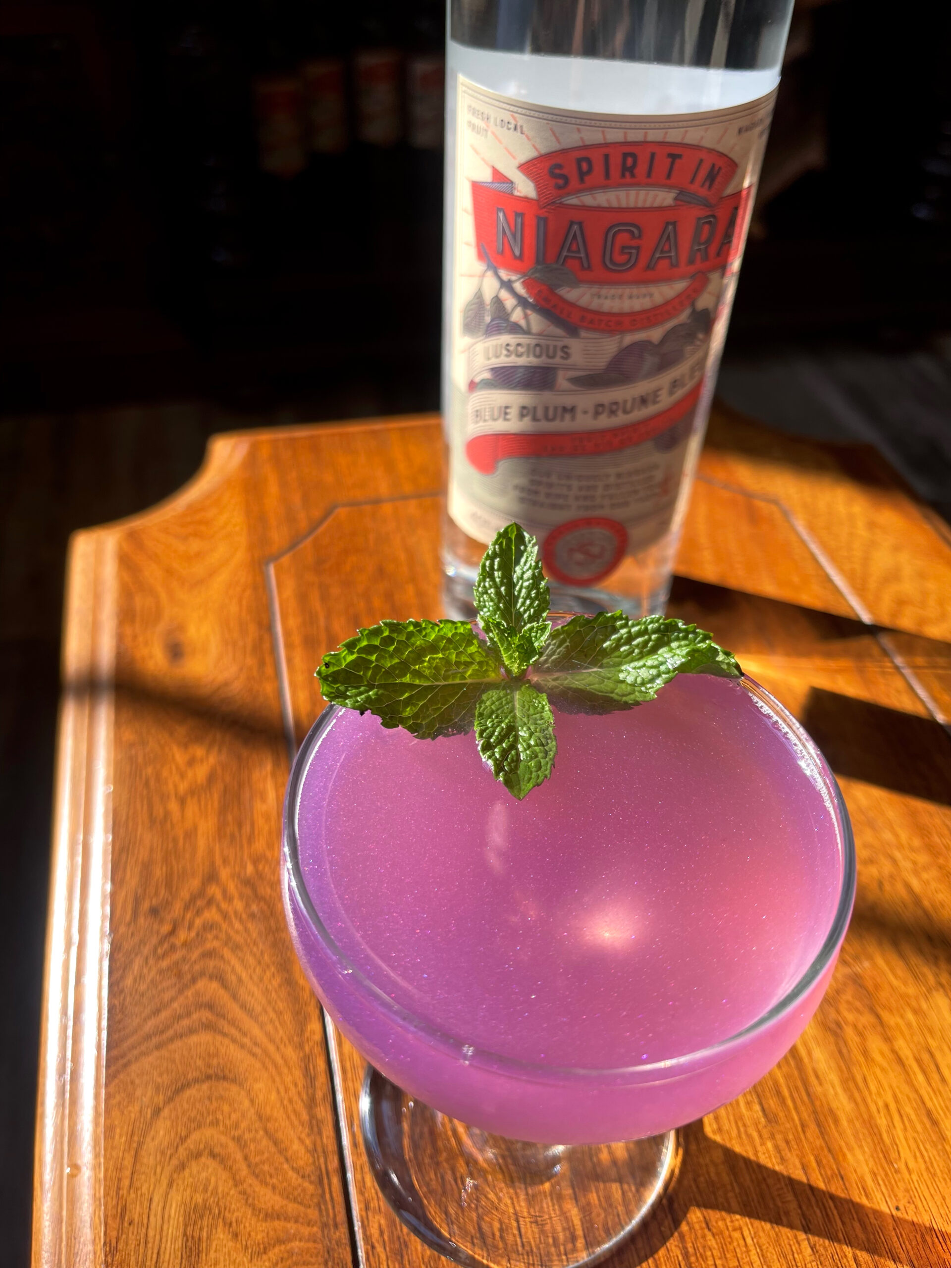 Blue Jewel - Spirit in Niagara